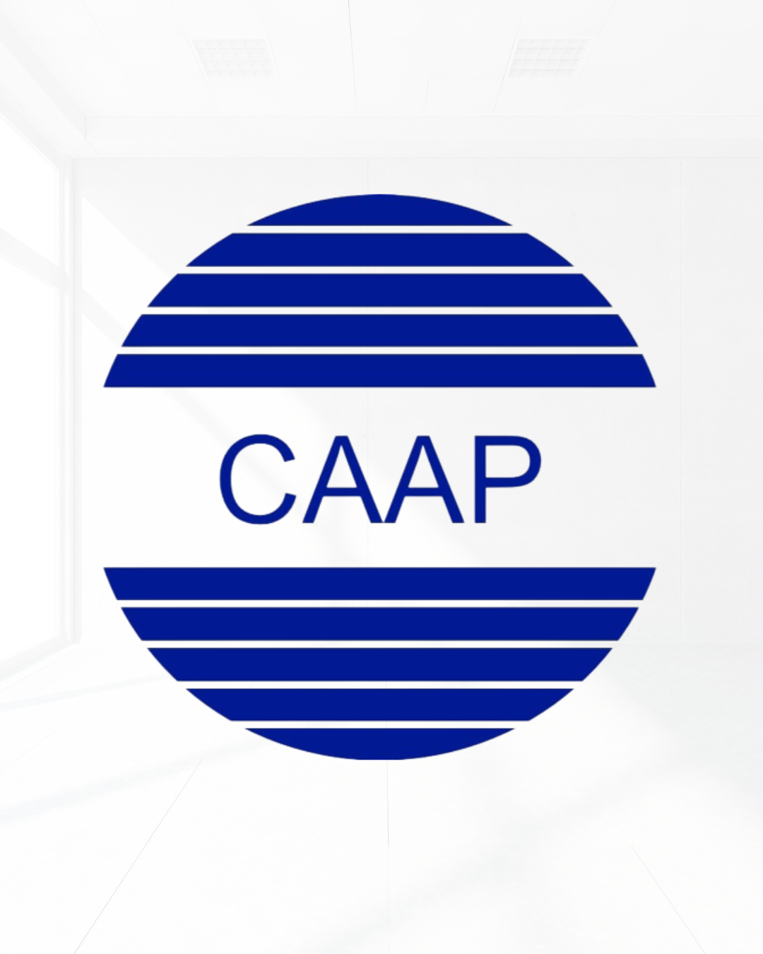 Consultores y Asesores en Administración de Proyectos | Servicios en ...